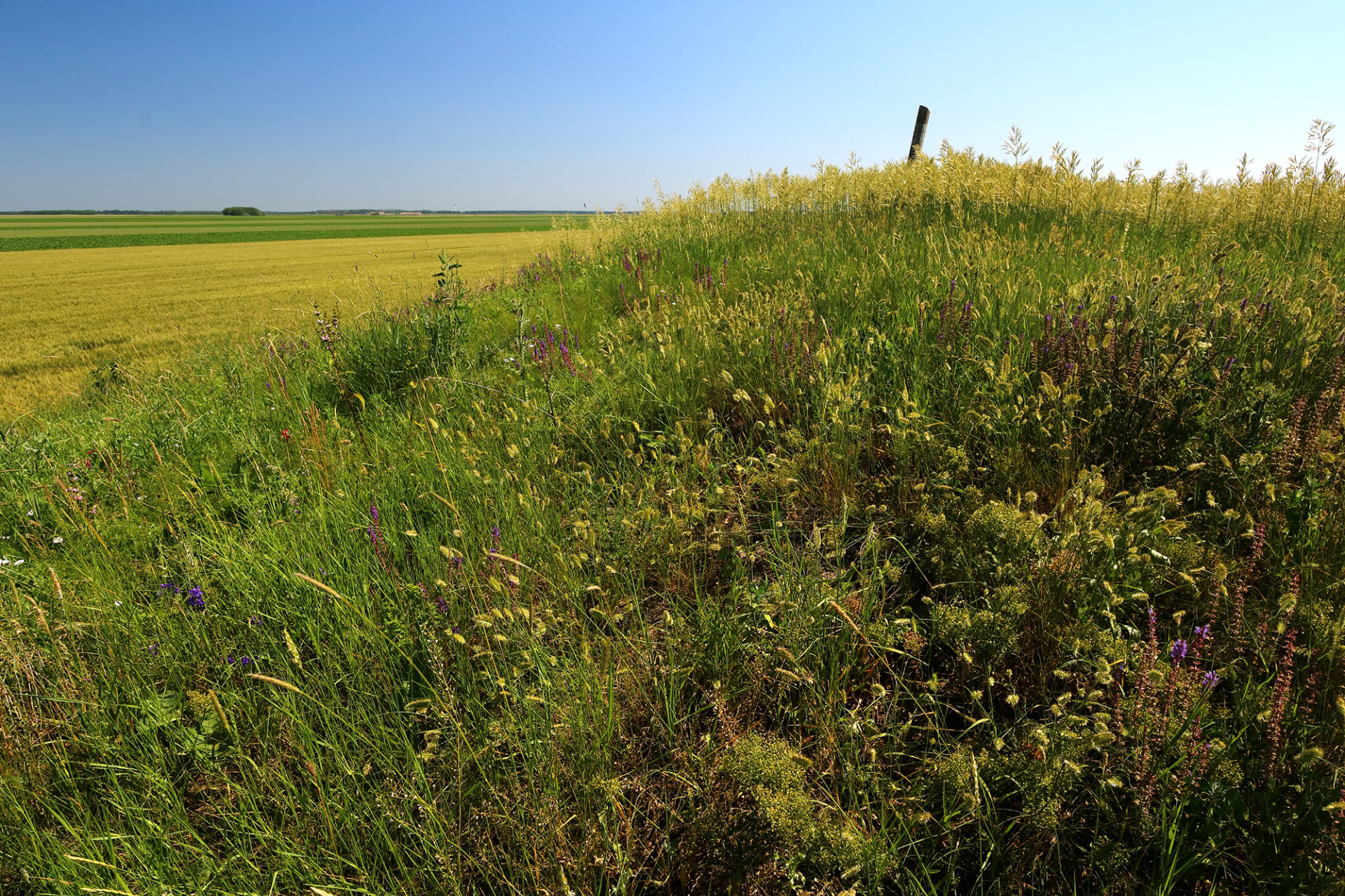 Landscape ecology :: Seed Ecology Research Group
